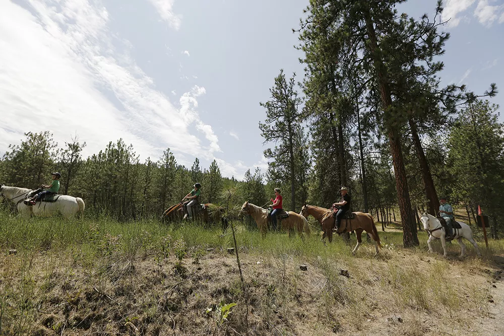 Horseback trail rides offered through Riverside State Park to riders of ...